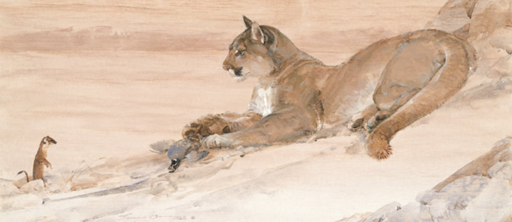 Weasel and Lion - The Monday Morning Memo