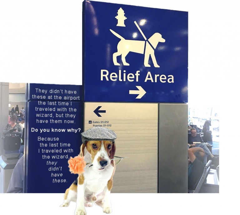DogReliefStation_Airport - The Monday Morning Memo