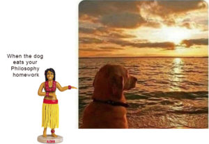 Philosophy Dog - The Monday Morning Memo