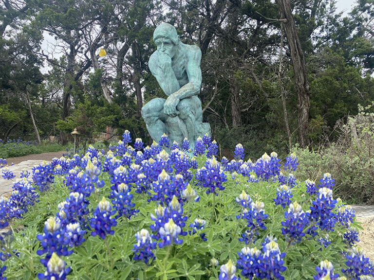 The Thinker in Bluebonnets_Wizard Academy_Austin - The Monday Morning Memo
